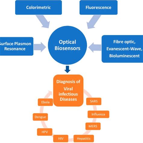 The Optical Biosensors Developed For Diagnostics Of Infectious Viral Download Scientific