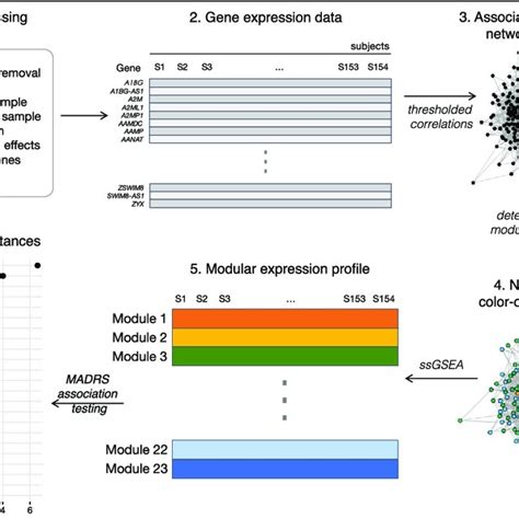 Workflow For Rna Seq Computational Analyses Preprocess The Raw Counts Download Scientific