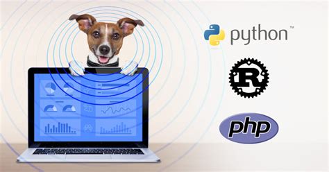 build your first scylladb application new rust python and php tutorials scylladb