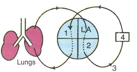 Icse Class 10 Biology Solutions For Chapter8 The
