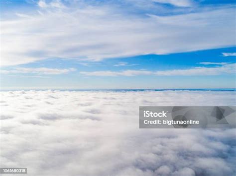 활기찬 단풍 동안 숲에 공중 볼 수 있습니다 돌으로 해변의 공중 전망입니다 모래와 물으로 해안선입니다 노란 나무와 아름 다운 호수 풍경 위에서 숲의 공중 무인 항공기 보기