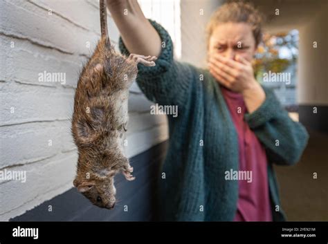 Woman Holds Big Dead Rat By The Tail With Shocked Expression