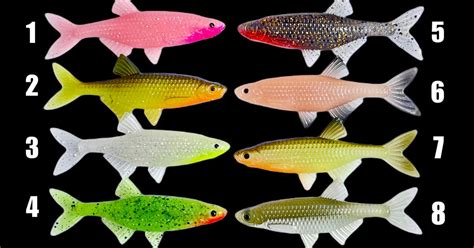 Ideaal Roach Drop Shot Shop Ideaal Lures