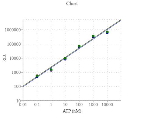 Phosphoworks™ Luminometric Atp Assay Kit Extended Luminescence Aat Bioquest