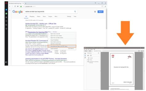 open in pdf viewer extension opera add ons