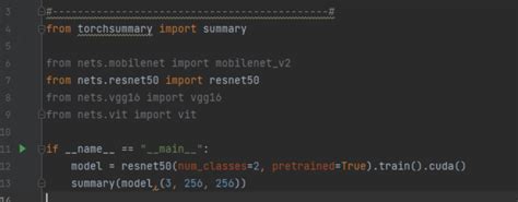 模型参数大小的问题 · issue 10 · bubbliiiing classification pytorch · github