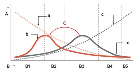 Concurrent Engineering For Shortening Development Lead Time KEYENCE America