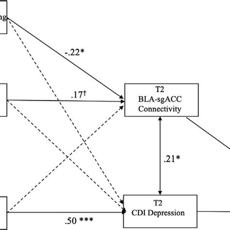 Path Analysis Model Of The Concurrent And Longitudinal Associations
