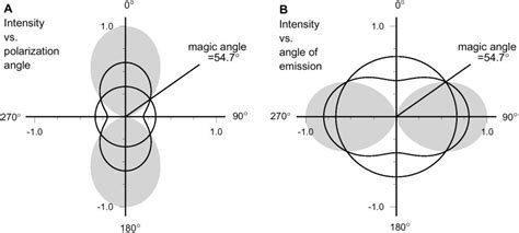 Polar Plots Of Predicted Fluorescence Intensity Variations In These Download Scientific
