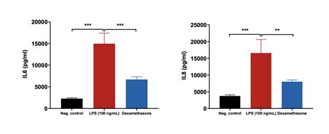 PBMC Based Assays Cellomatics Biosciences