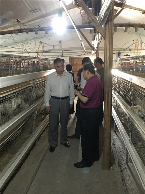 市政协开展“家禽产业转型升级”专题调研 宣城市农业农村局