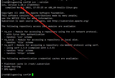 linux windows svn服务器部署全攻略：从安装到多仓库权限管理 linux visualsvn server csdn博客