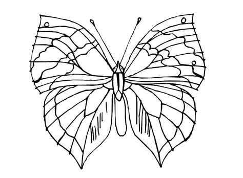 Пеперуди Детски Свят