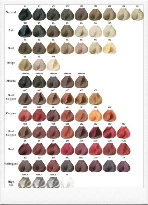 남자 머리 염색 컬러 추천 염색가격 애쉬 카키 골드 그레이 베이지 브라운 네이버 블로그