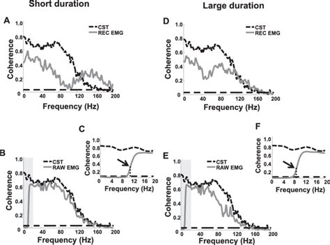 Emgemg Coherence Estimates For The Rectified And Raw Emg Signals With Download Scientific