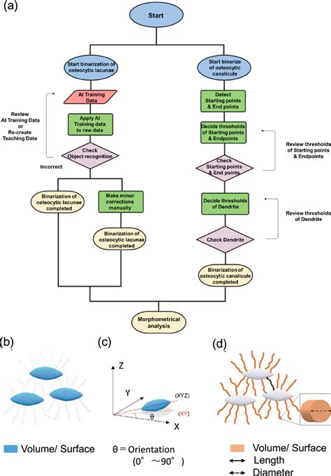 the methodological flow charts of artificial ai driven download
