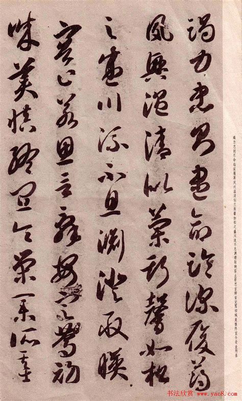 智永书法字帖草书千字文 第3页 草书字帖 书法欣赏
