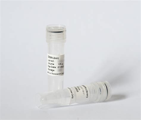 Crispr Cell Line Vitro Biotech