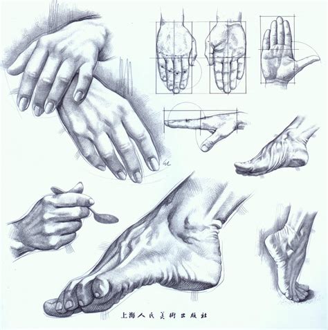 Pin By Helge Van Drongelen On Tekeningen Anatomy Art Human Anatomy