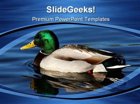 Drake Reflection Beach Powerpoint Templates And Powerpoint Backgrounds 0211