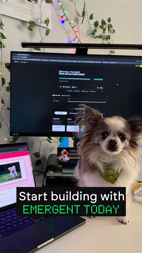 Npm Run New Week Devlife Programming Coding React Reactnative Development Setup