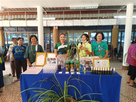 โครงการบ้านสวย ซอยสะอาด บ้านเวียงสวรรค์ หมู่ 9 ตำบลแม่เมาะ อำเภอแม่เมาะ จังหวัดลำปาง ประจำปี