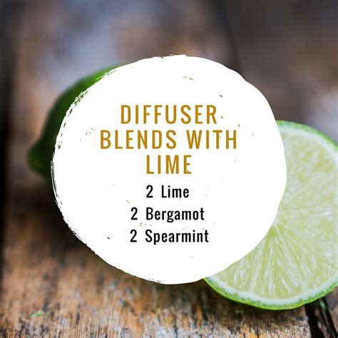 Diffuser Blends With Lime Diffuser Essentials