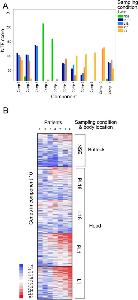 Non Negative Tensor Factorization Analysis A Gene Expression Profiles Download Scientific