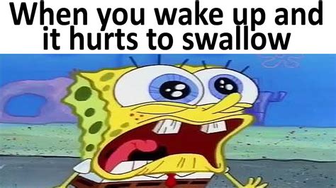 1 Hour Of Memes Youtube