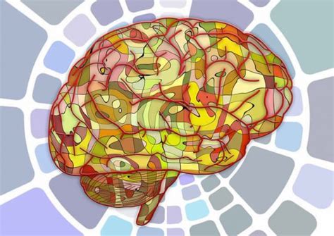 How Does Attention Impact False Memory Susceptibility Neuroscience News