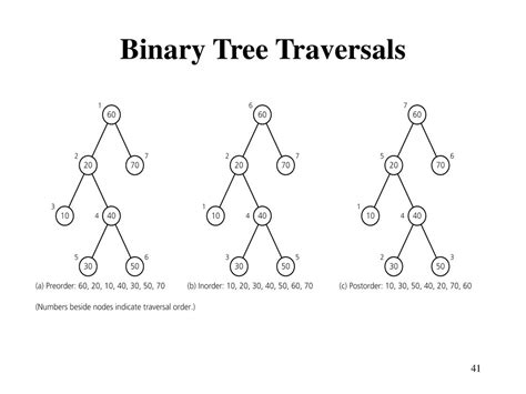 Trees Ppt Download