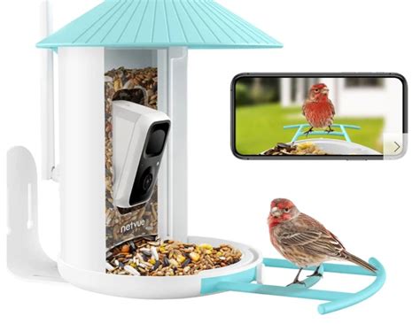 Netvue Birdfy Smart Bird Feeder Review Joy Of Birdwatching