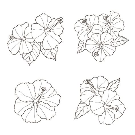 Set Of Hibiscus Flowers Vector Illustration 25423959 Vector Art At