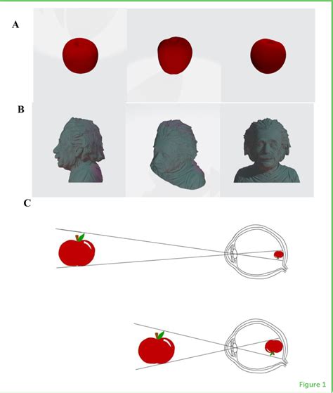 Figure 1 From How Do We Recognize The Same Object From Different Angles
