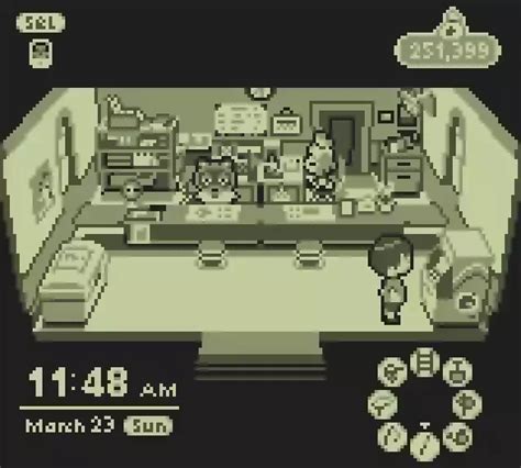 Raccoon Boy Danbooru