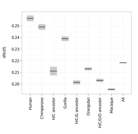 Figure Sf85 Global Dnds Values In Five Primate Species Genome Wide