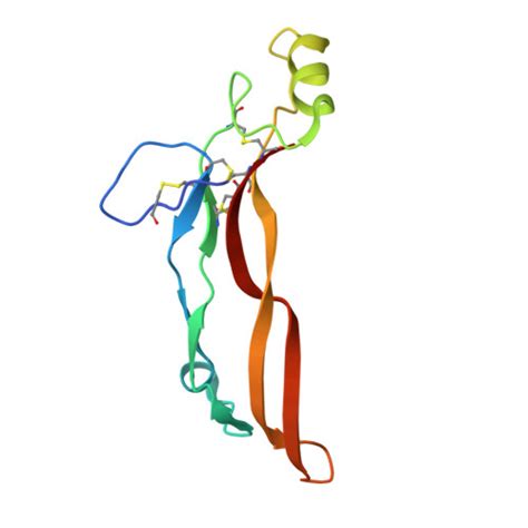 Rcsb Pdb 7mrz Structure Of Gdf11 Bound To Fused Actriib Ecd And Alk4 Ecd With Anti Actriib