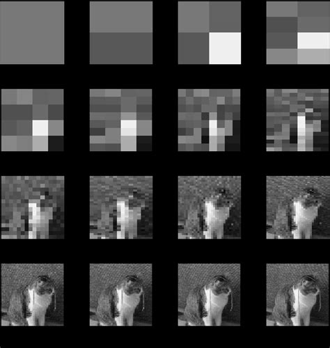 Series Of Approximation Coefficients Of The Wavelet Transform Download Scientific Diagram