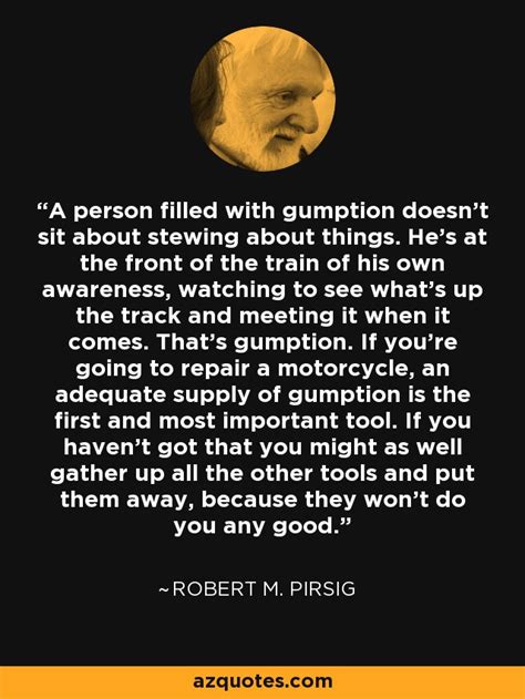 Robert M Pirsig Quote A Person Filled With Gumption Doesnt Sit About Stewing About