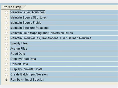 Sap Lsmw Batch Scheduling