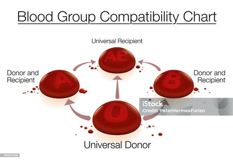 보편적 인 기증자 0 및 보편적 인 수혜자 Ab와 혈액 그룹 호환성 차트 혈액 기증 및 수혈에 관한 화살표와 표시 3d 방울 혈액형에 대한 스톡 벡터 아트 및 기타 이미지