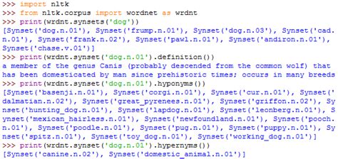 Natural Language Processing Project