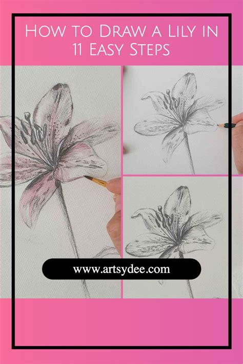 How To Draw A Lily In Easy Steps