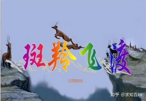 数百只山羊集体跳崖，牧羊人损失惨重，“羊群效应”太可怕 知乎