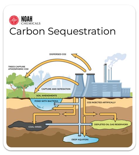 Carbon Capture And Sequestration Companies Reachgast