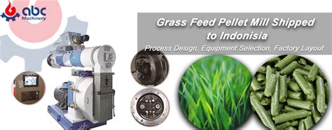 5tph Grass Feed Pellet Machine Set Shipped To Indonesia
