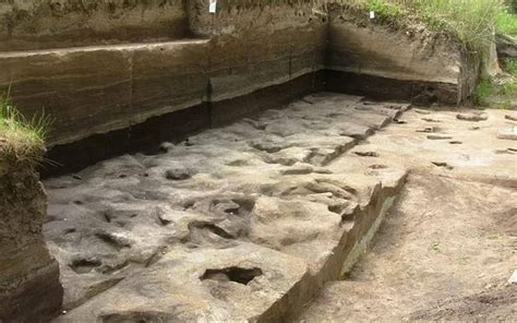 德国发现已灭绝的海德堡人足迹距今30万年 人类 科学家们 古棱