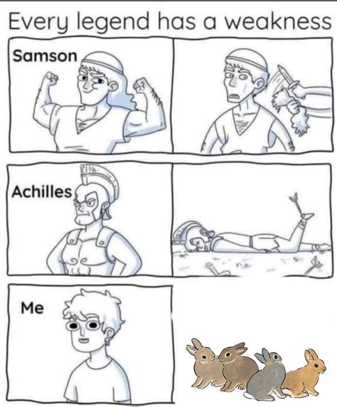 Our Only Weakness Rbunnymemes