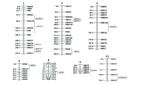 Molecular Linkage Map Of 111 Ssrs With Position Of Qtls For Agronomic
