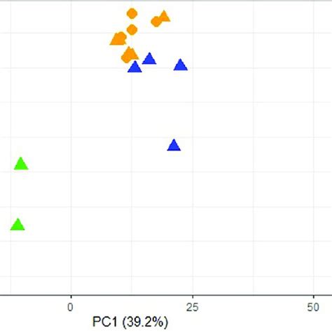 Principal Component Analysis Obtained Using 3242 Proteins With Missing